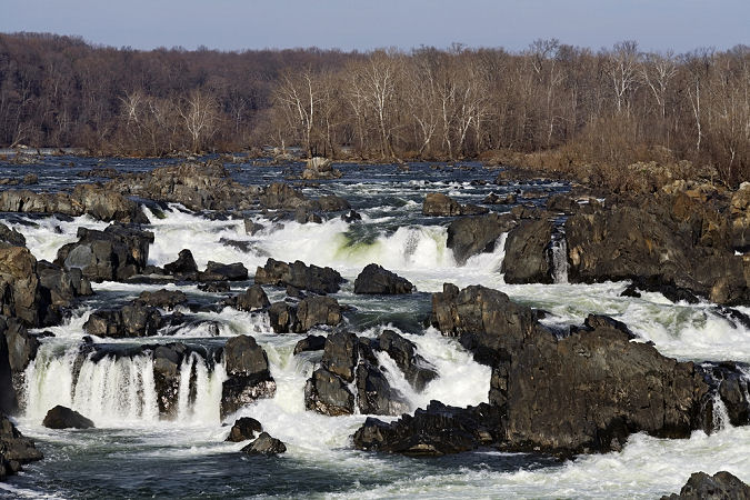 Virginia | Camp America